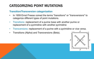 types of Mutation | PPTX