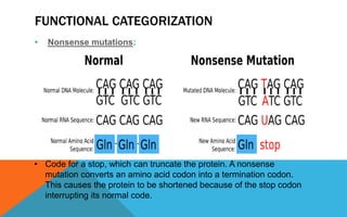 types of Mutation | PPTX