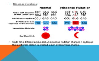 types of Mutation | PPTX