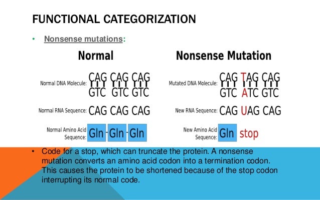 types of Mutation