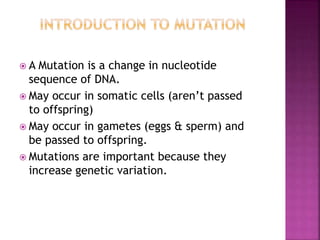 Mutation | PPTX | Genetics | Science