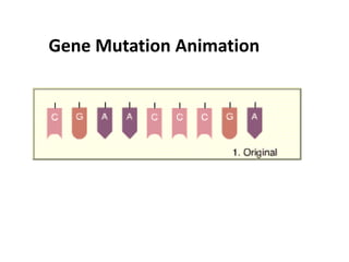 Frameshift Mutation Animation
