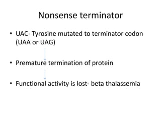 Mutation | PDF | Genetics | Science