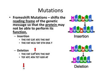 Frameshift Mutation Animation