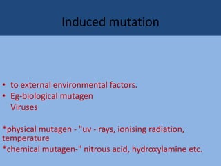 Mutation | PPT
