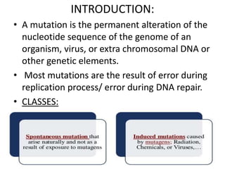 Mutation | PPTX