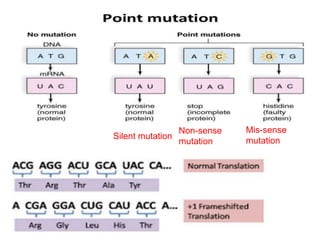 Mutation | PPT