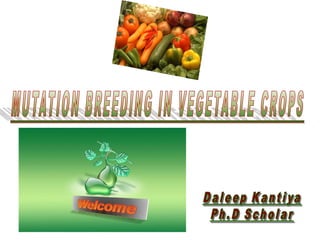 MUTATION BREEDING IN VEGETABLE CROPS | PPT