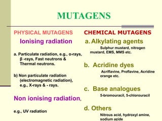MUTATION BREEDING IN VEGETABLE CROPS | PPT