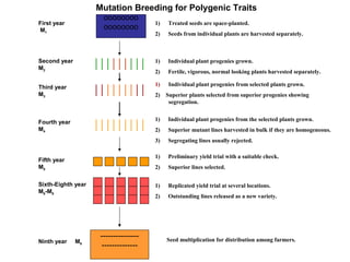 MUTATION BREEDING IN VEGETABLE CROPS | PPT