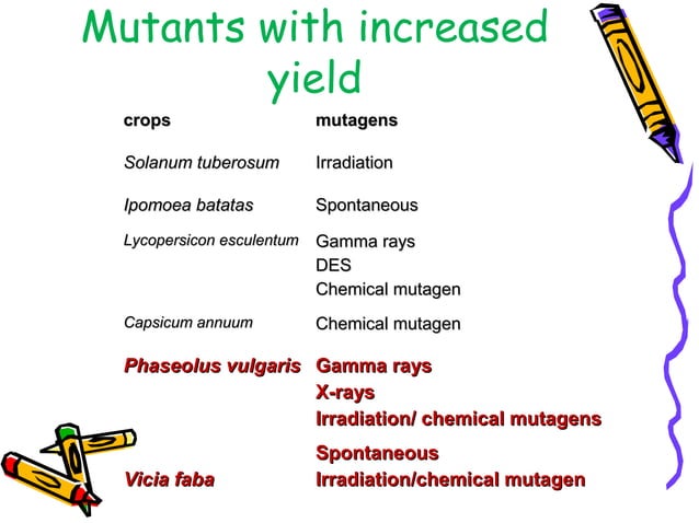 MUTATION BREEDING IN VEGETABLE CROPS | PPT