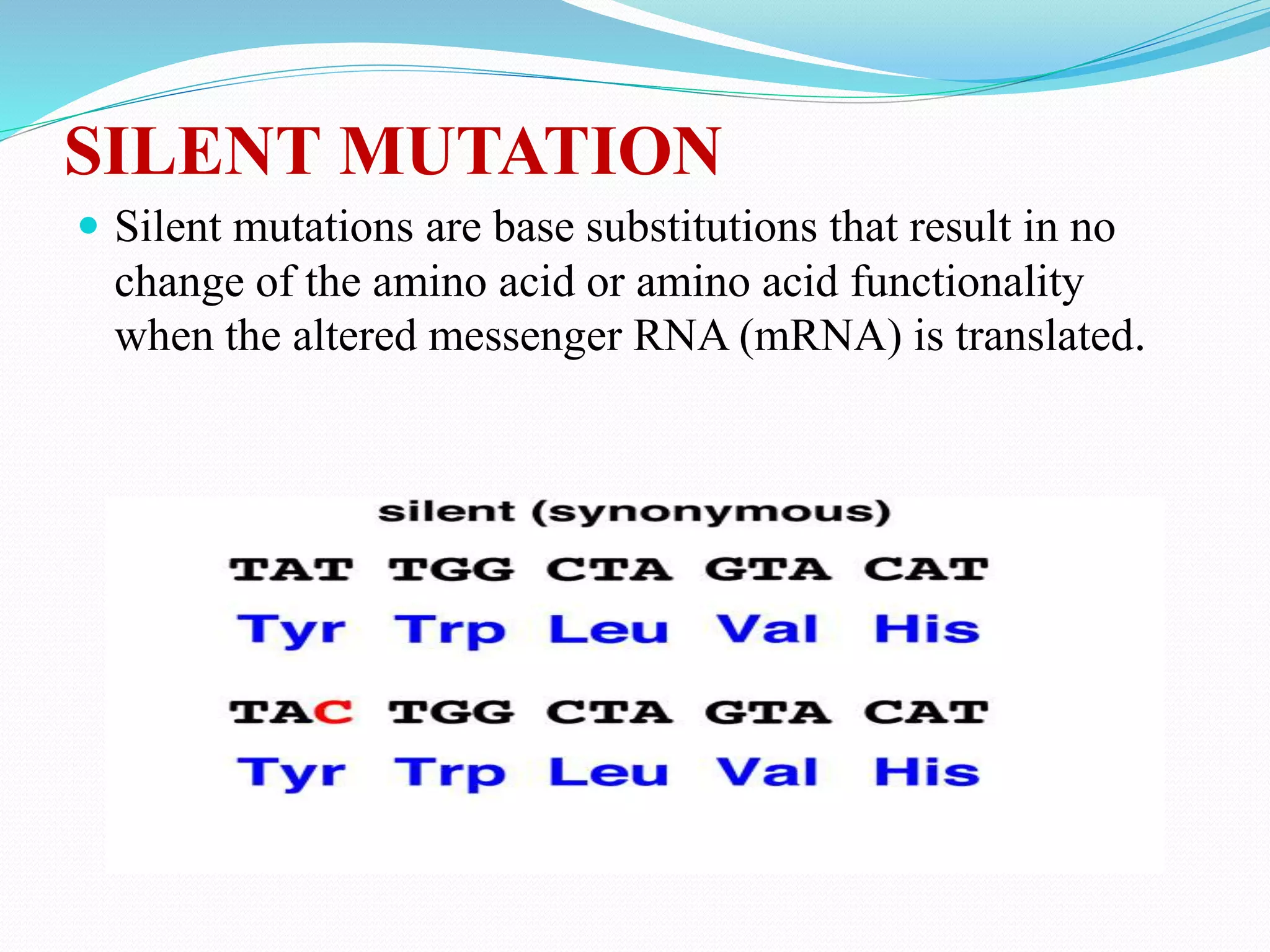 Mutation | PPTX | Blood Disorders | Diseases and Conditions
