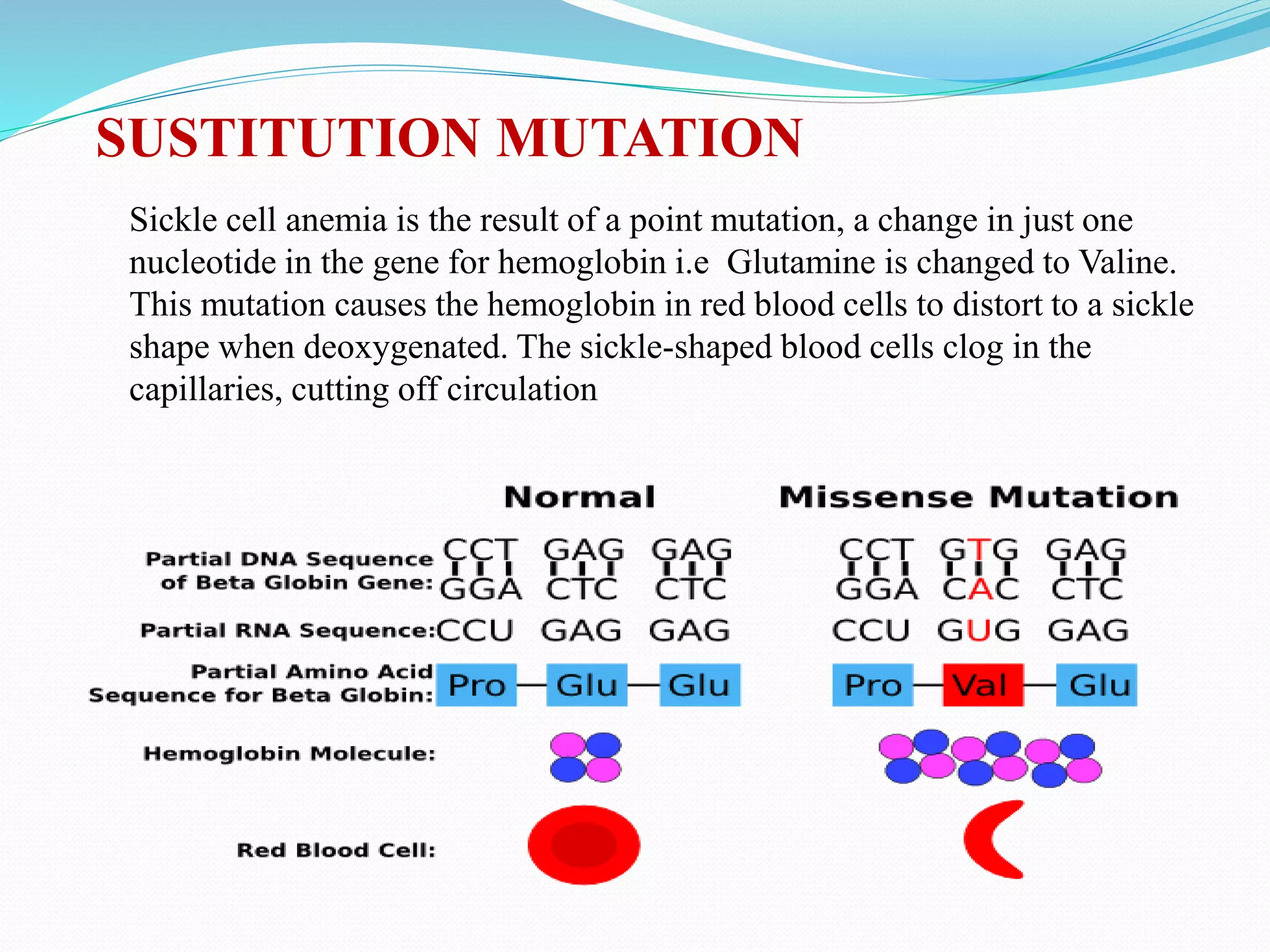 Mutation | PPTX