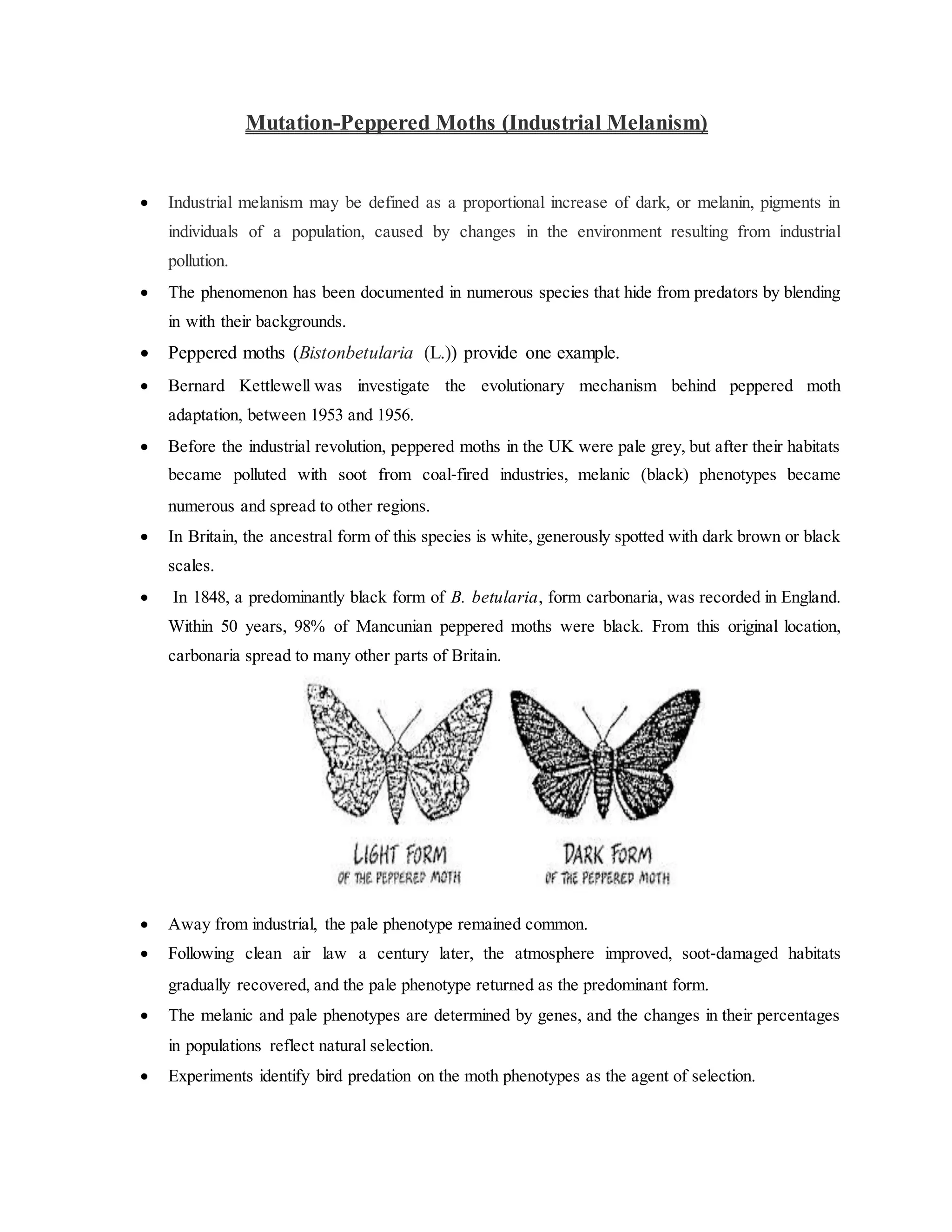 Mutation-Peppered Moths (Industrial Melanism) | DOCX
