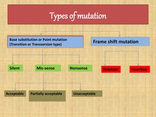 Mutation | PPTX