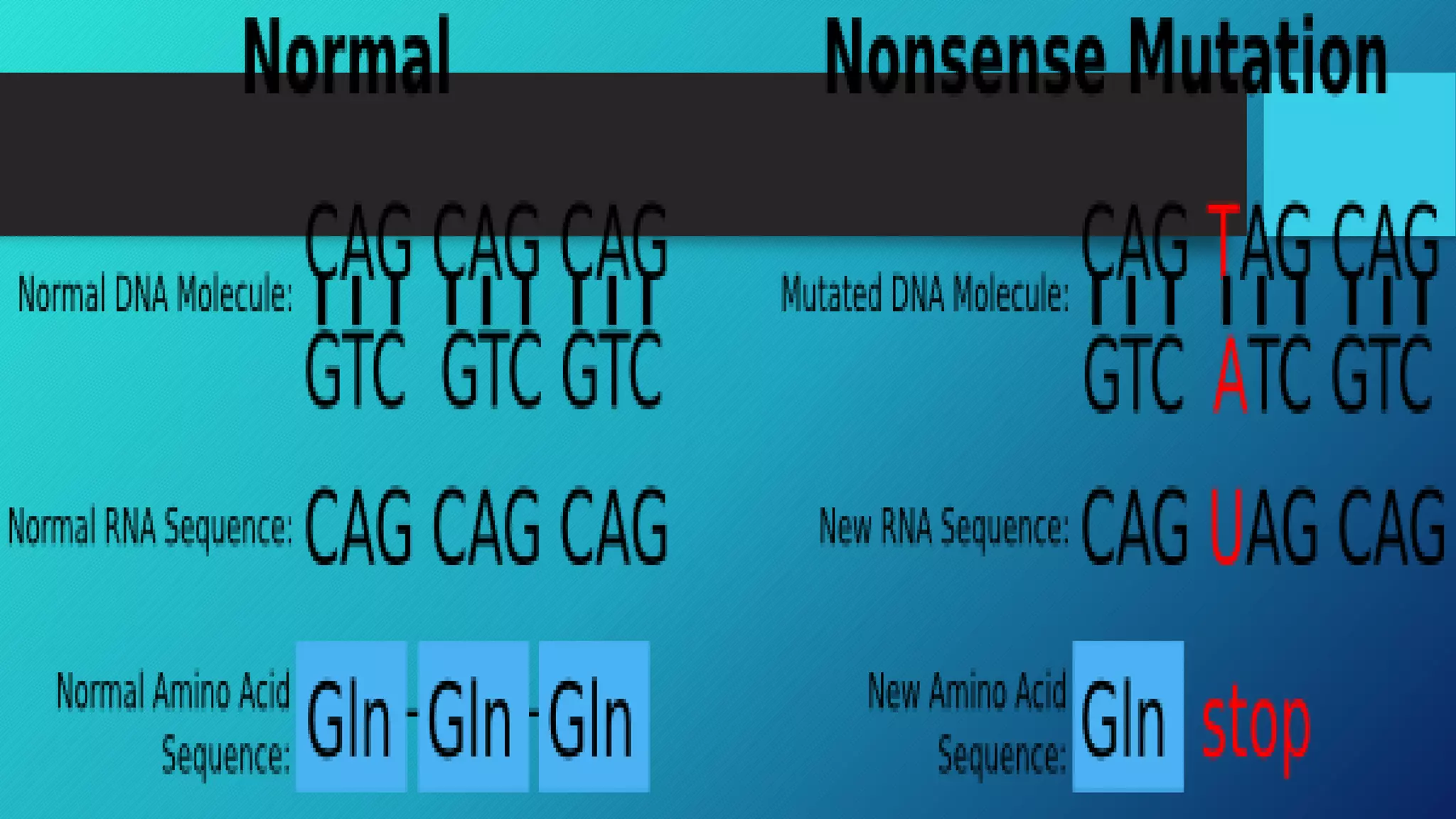 Mutation mbbs microbiology | PPTX