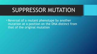 Mutation mbbs microbiology | PPTX