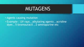 Mutation mbbs microbiology | PPTX