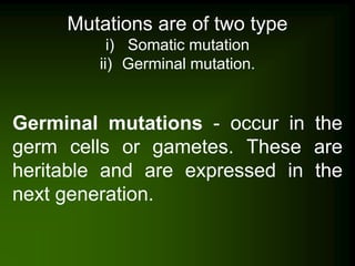 mutation-20.2.2019.ppsx