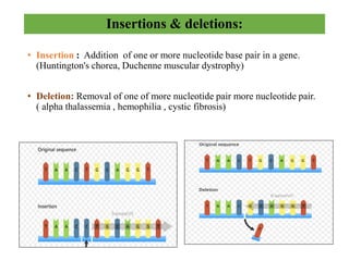 Addition Mutation
