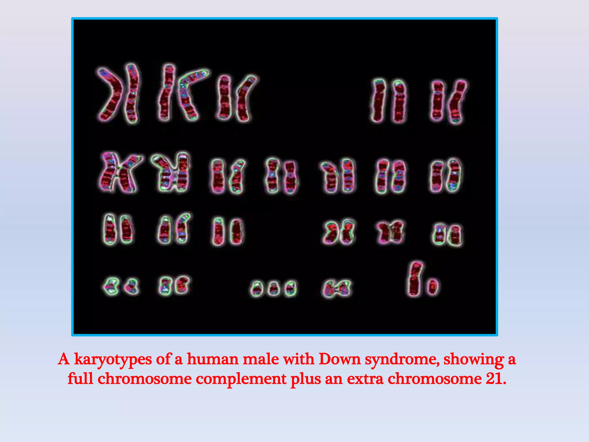 Mutation | PPTX