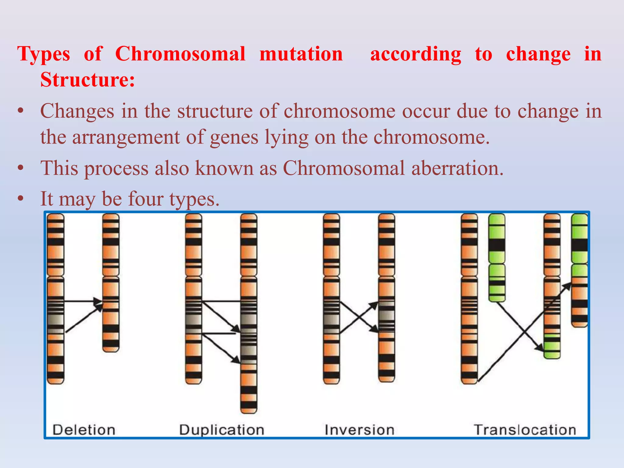 Mutation | PPTX