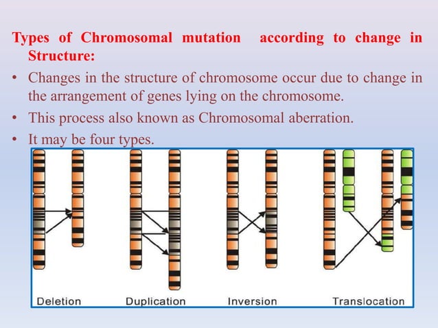 Mutation | PPTX