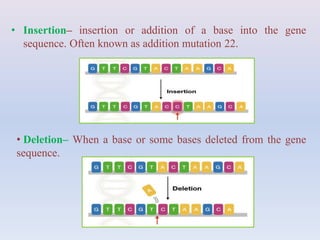 Addition Mutation
