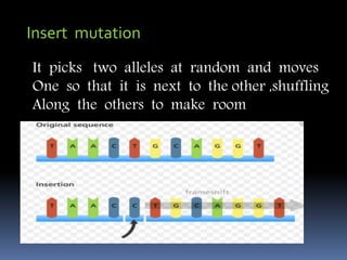 Mutation | PPTX