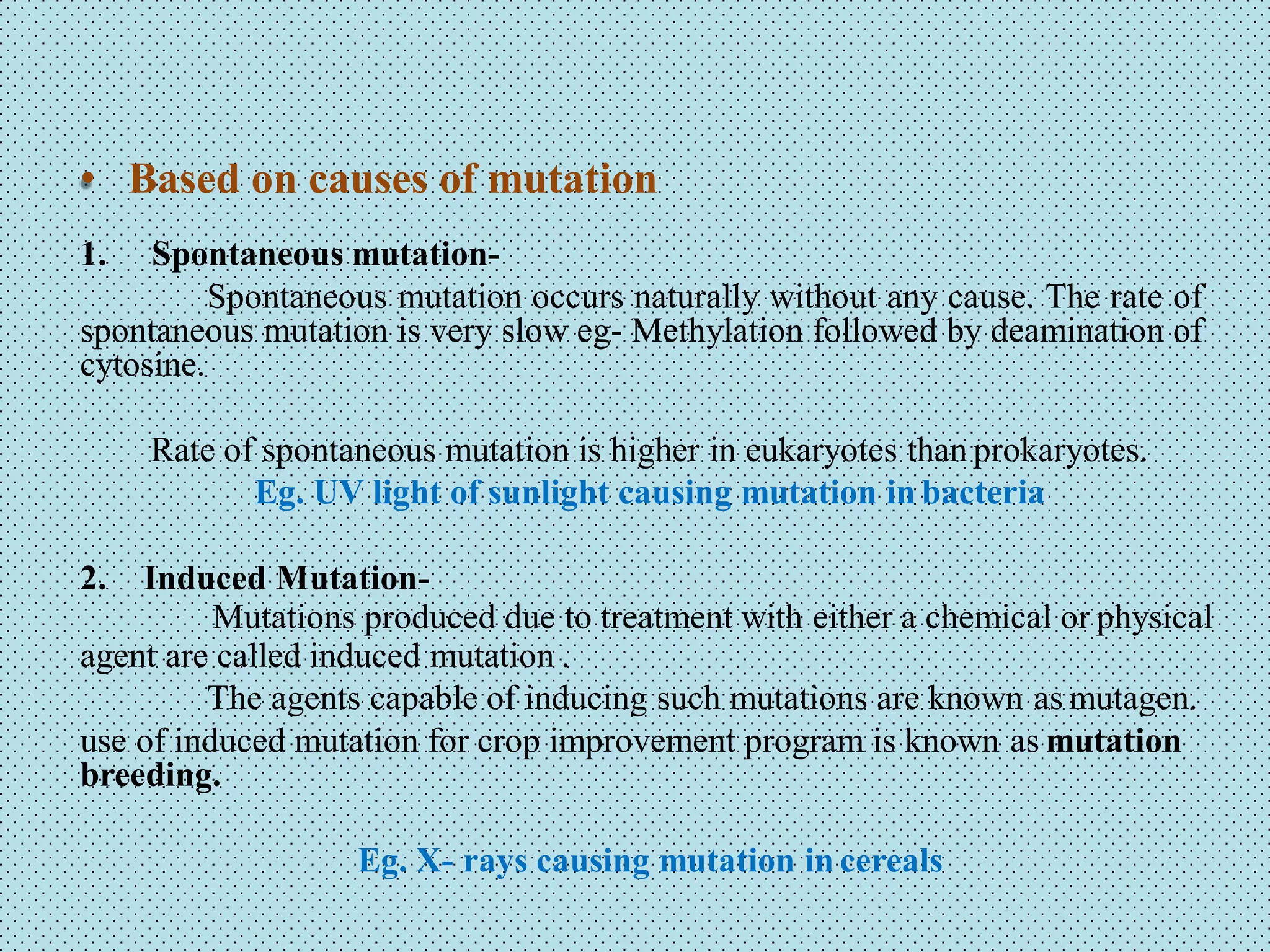 Mutation | PDF