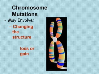 Mutation | PDF