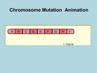 Mutation | PDF