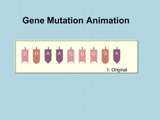 Mutation | PDF