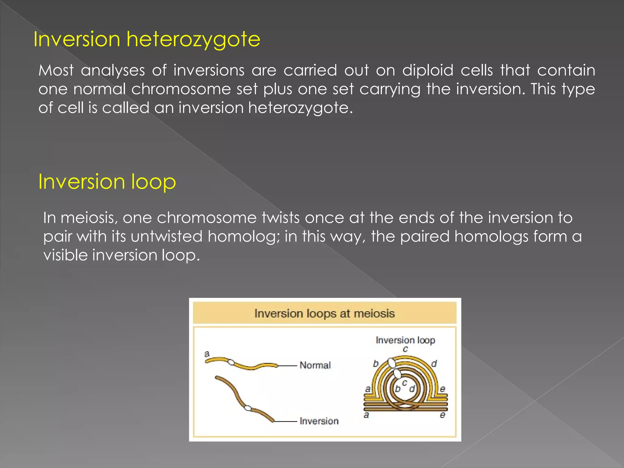 Mutation | PDF