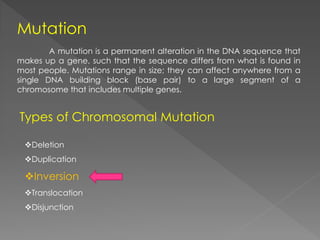 Mutation | PDF | Genetics | Science