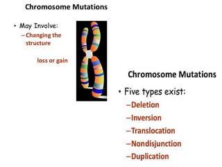 Mutation and its types | PPTX