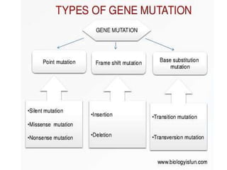 Mutation and its types | PPTX