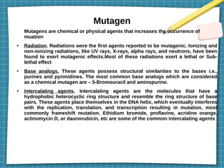 Mutation | PPT