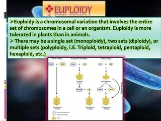 MUTATION,CHROMOSOMAL MUTATION &GENE MUTATION | PPTX