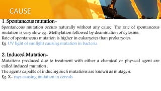 Mutation | PPTX
