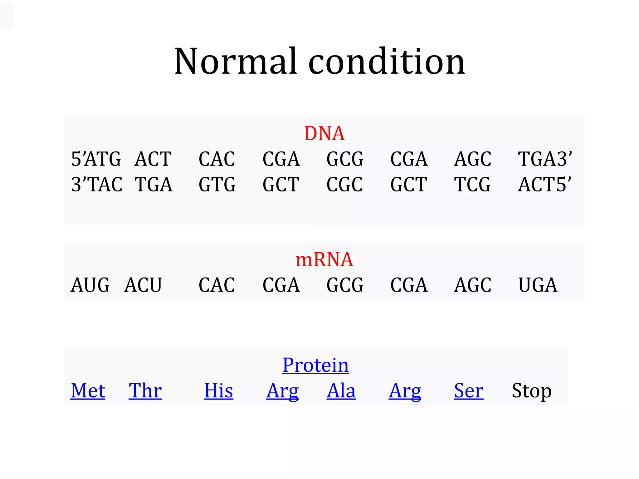 Mutation.pptx