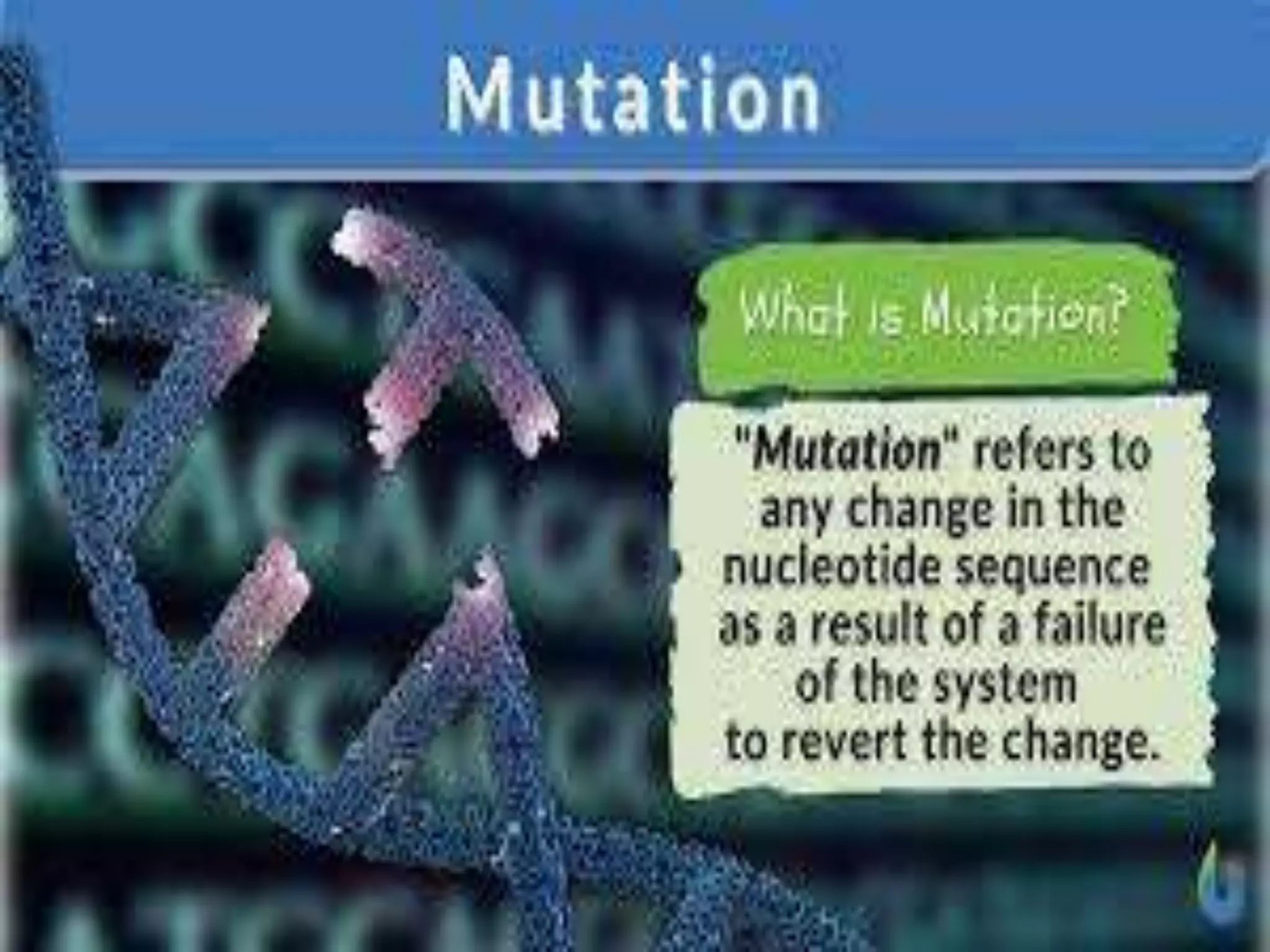 Mutation.pptx