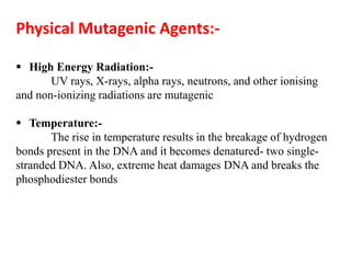 Mutation.pptx