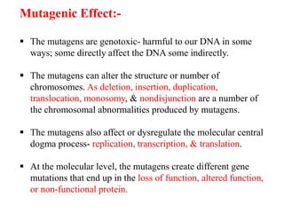 Mutation.pptx