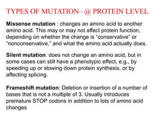 Mutation.pptx