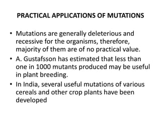 Mutation.pptx