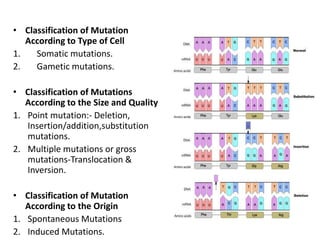 Mutation.pptx