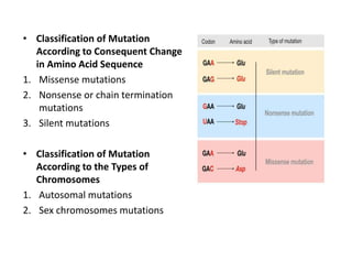Mutation.pptx