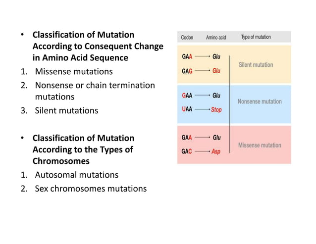 Mutation.pptx