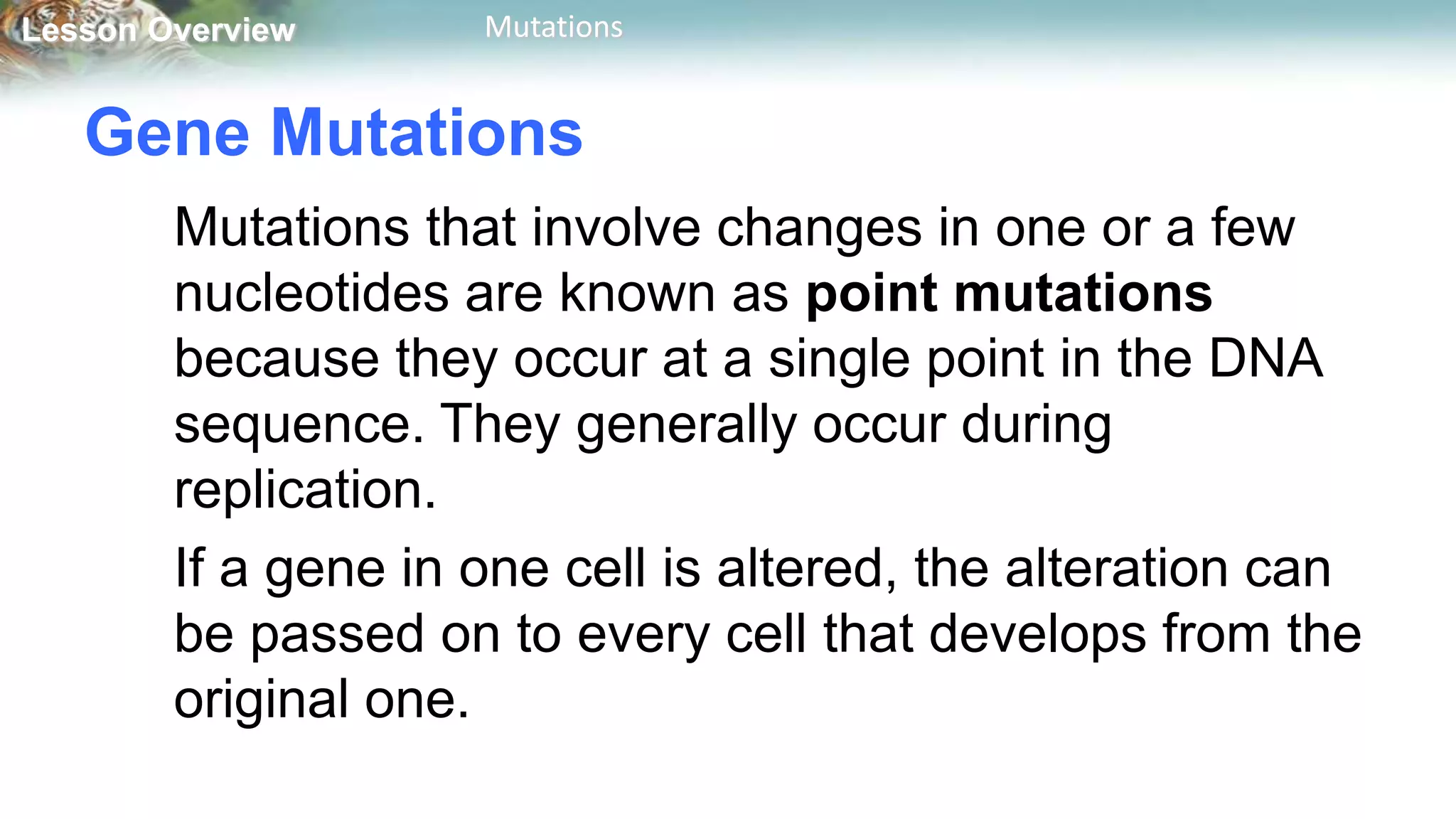 mutation.ppt